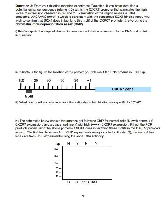 Solved Question 2 From Your Deletion Mapping Experiment