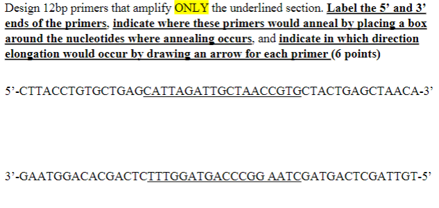 Solved Design 12bp primers that amplify ONLY the underlined | Chegg.com