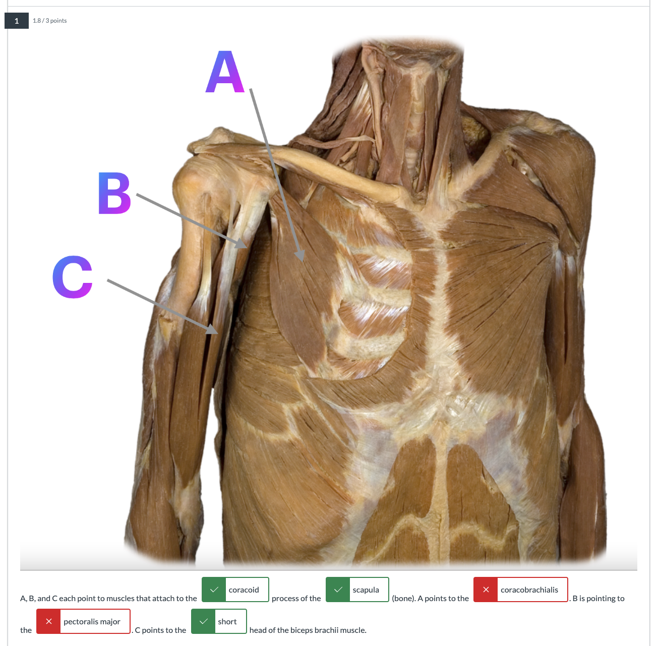 Solved Please fill in each red blank with the correct answer | Chegg.com