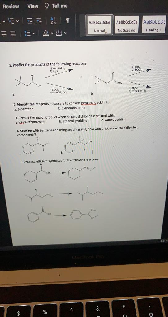 Solved Review View Tell me == = पा AaBbCcDdEe AaBbCcDdEe | Chegg.com