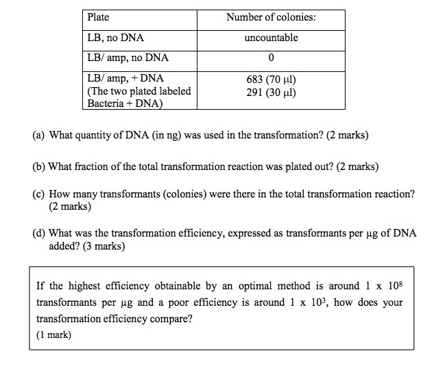 Solved Number of colonies: Plate LB, no DNA LB/ amp, no DNA | Chegg.com