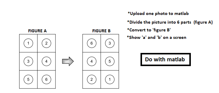 Solved *Upload one photo to matlab *Divide the picture into | Chegg.com
