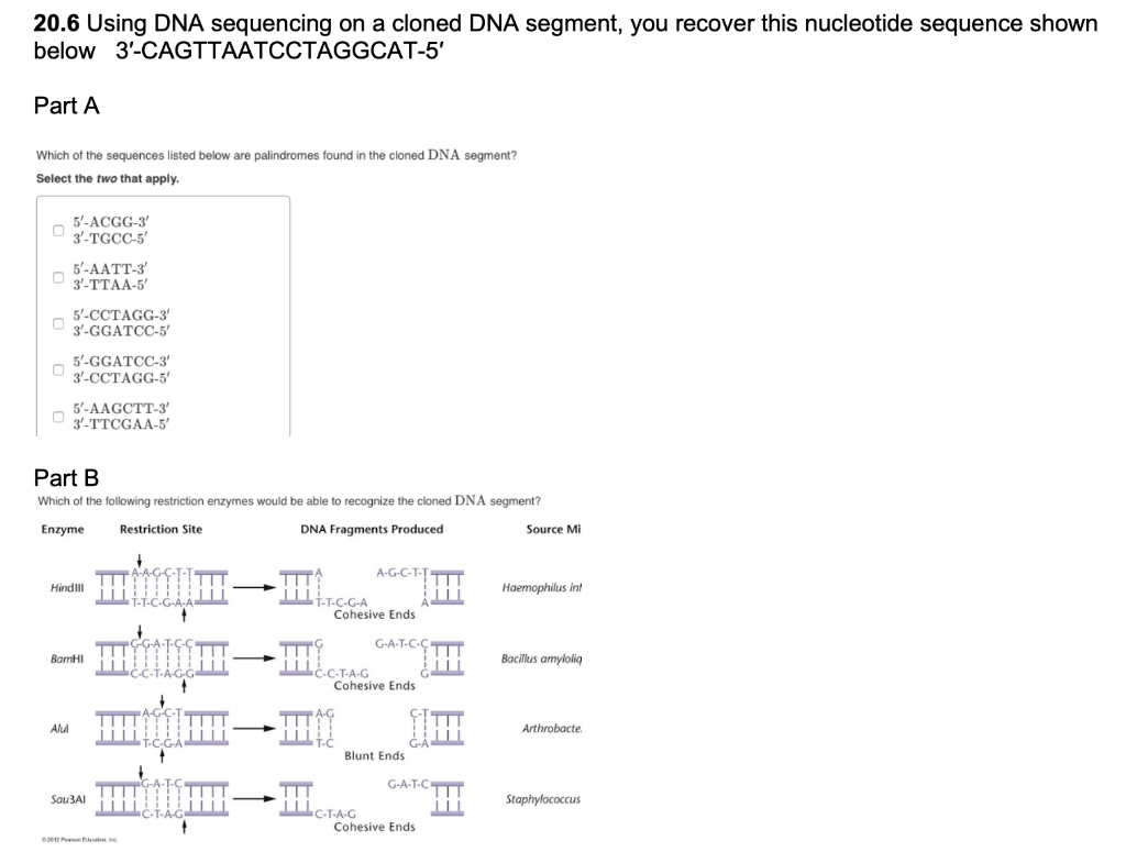 Solved 20.6 Using DNA sequencing on a cloned DNA segment, | Chegg.com