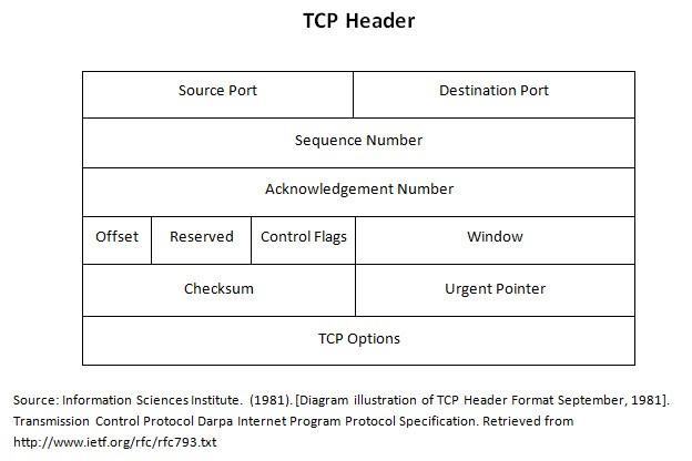 Solved TCP and UDP are both tasked with transporting | Chegg.com