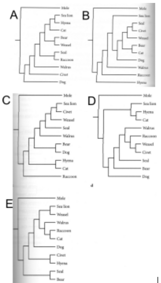 Solved Below is a subset of molecular data for a study | Chegg.com
