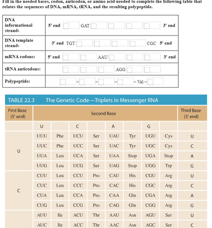 Solved Fill in the needed bases, codon, anticodon, or amino | Chegg.com