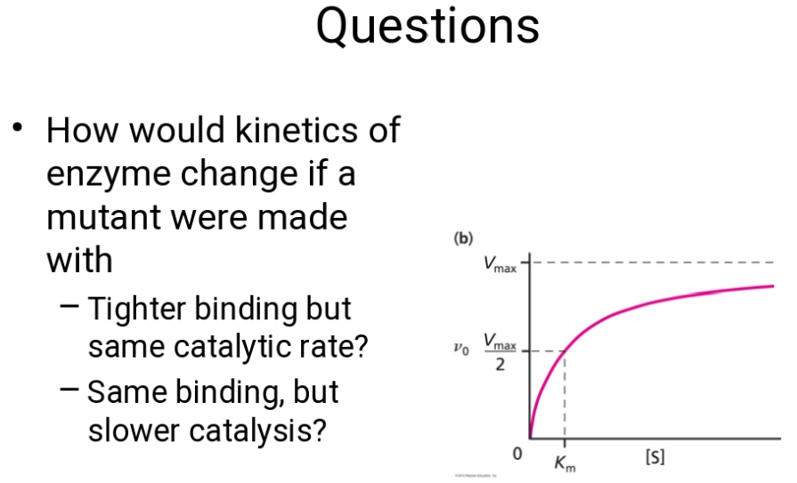 Solved Questions (b) Vmax How would kinetics of enzyme | Chegg.com