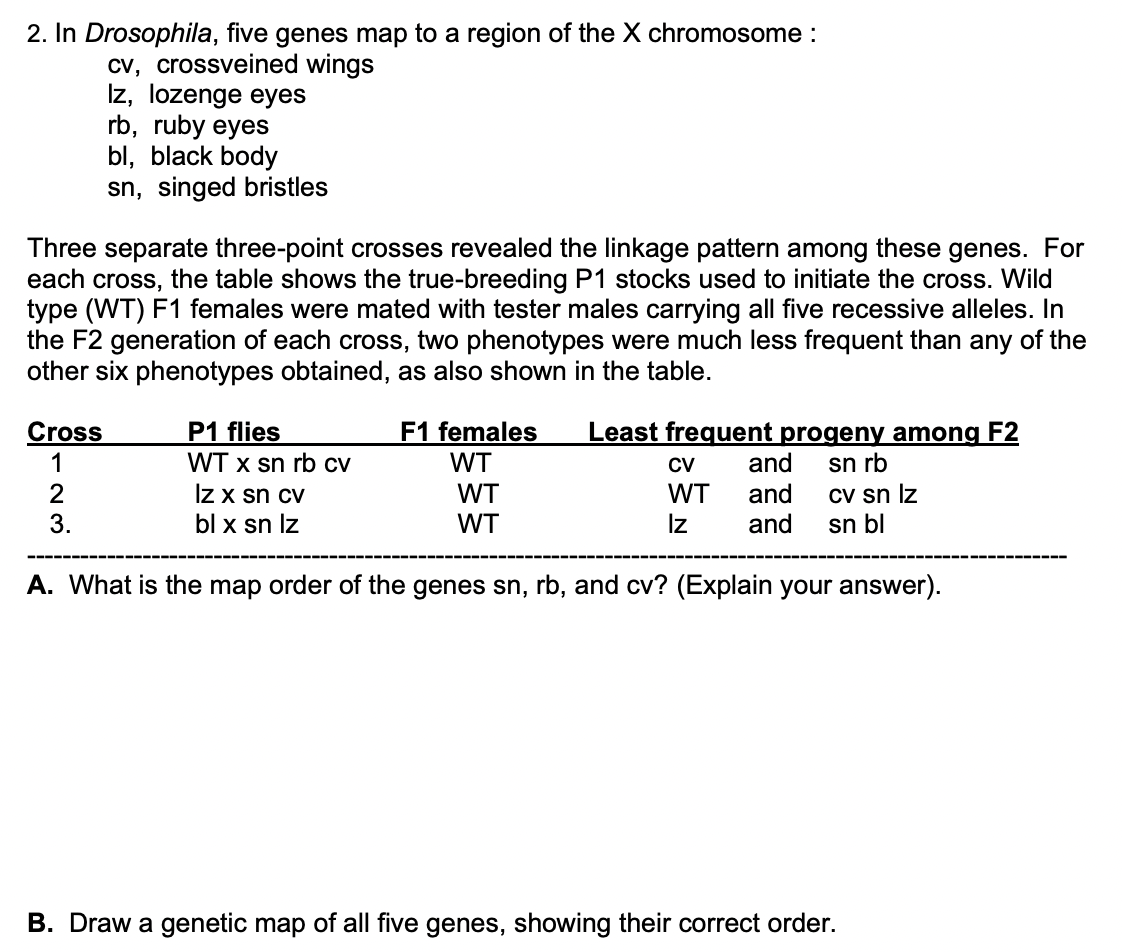 2. In Drosophila, five genes map to a region of the X | Chegg.com