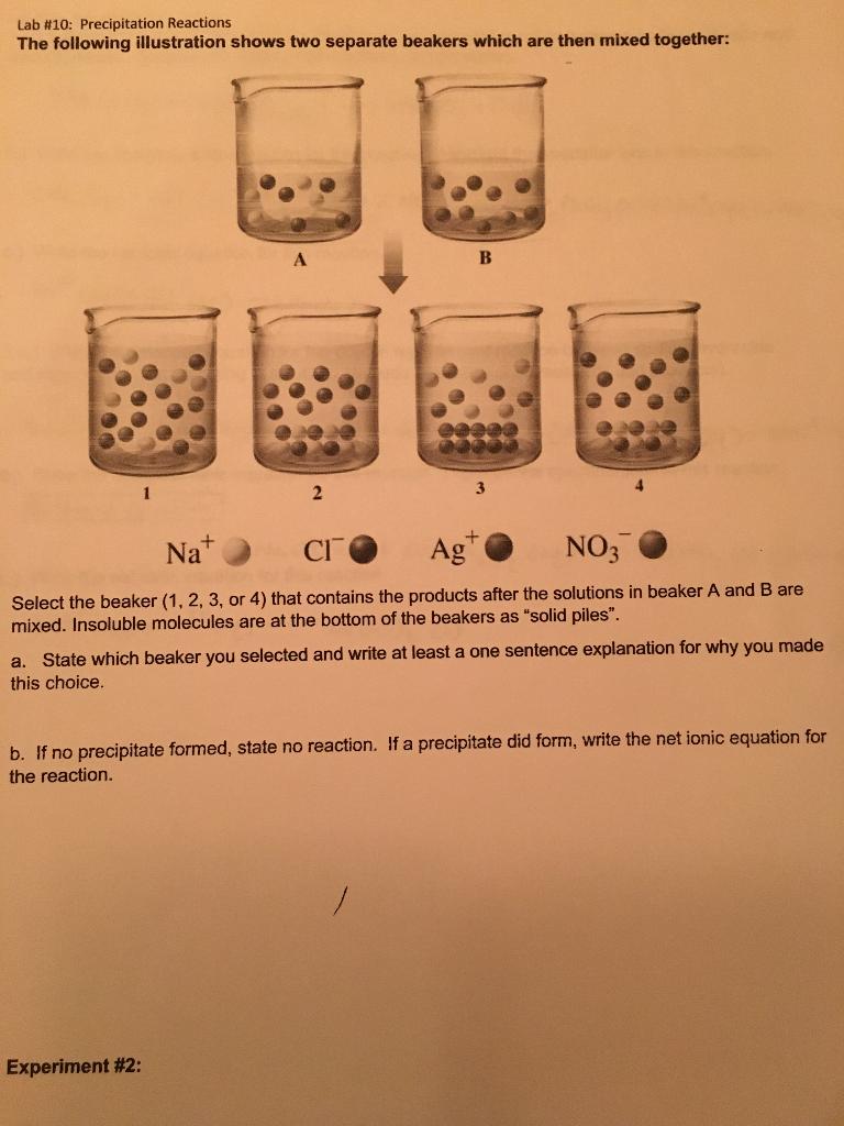 Solved Lab #10: Precipitation Reactions The following | Chegg.com