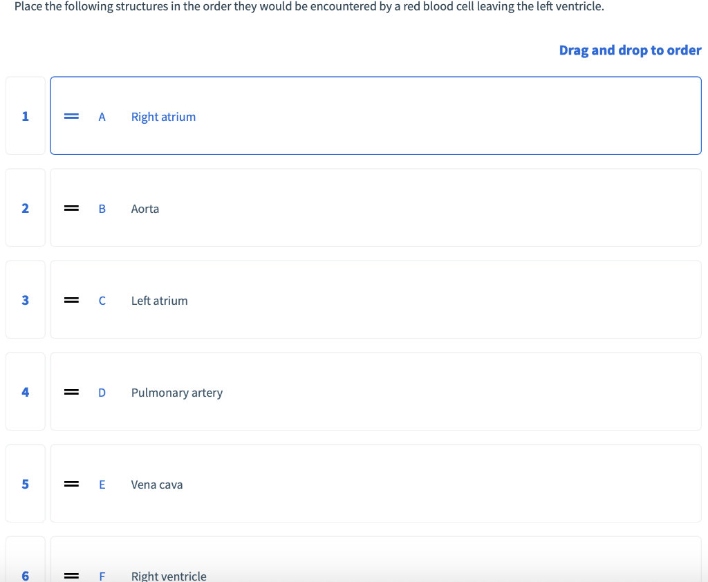 Solved Place the following structures in the order they | Chegg.com