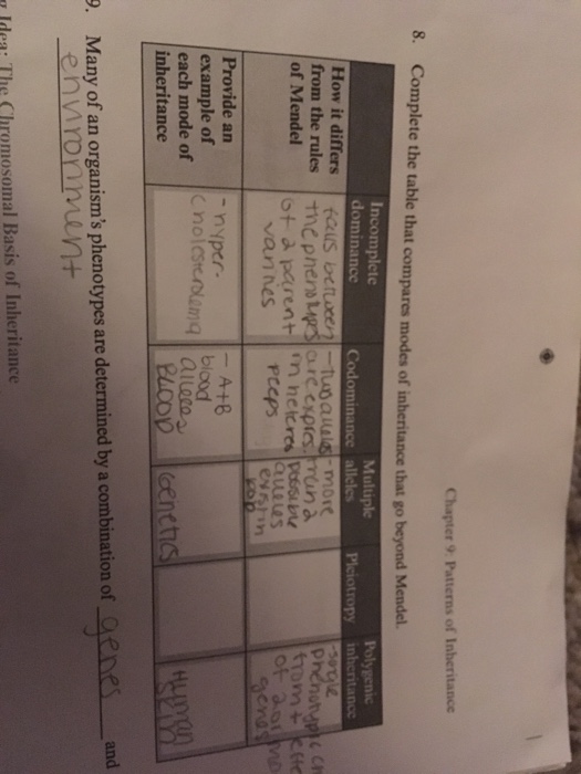 Solved Chapter 9 Patterns Of Inberitance 8 Complete The