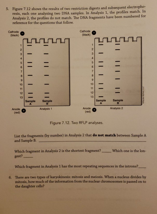 Solved Signature Pre-Lab Assignment What is the basic | Chegg.com