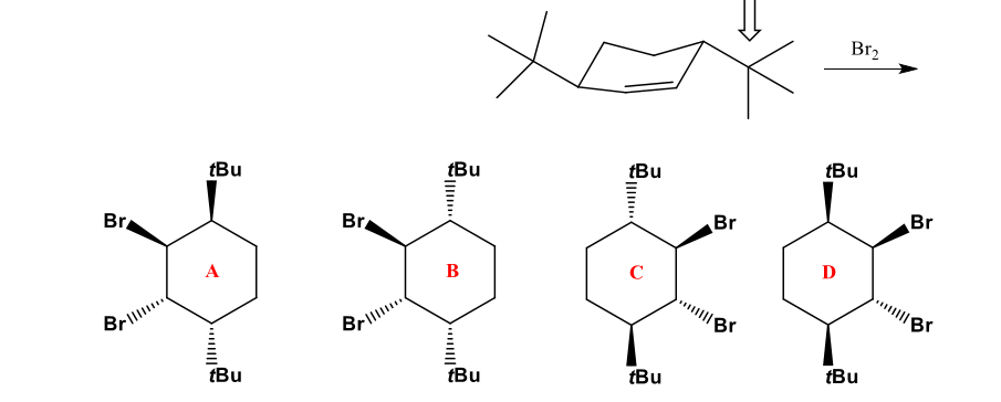 Solved BI2 tBu tBu tBu tBu tBu tBu | Chegg.com