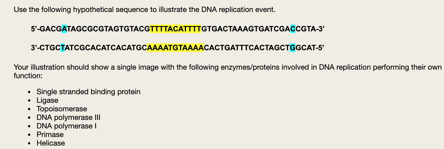 Solved Use the following hypothetical sequence to illustrate | Chegg.com