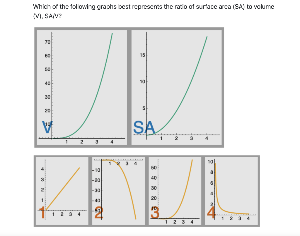 Solved Which of the following graphs best represents the | Chegg.com