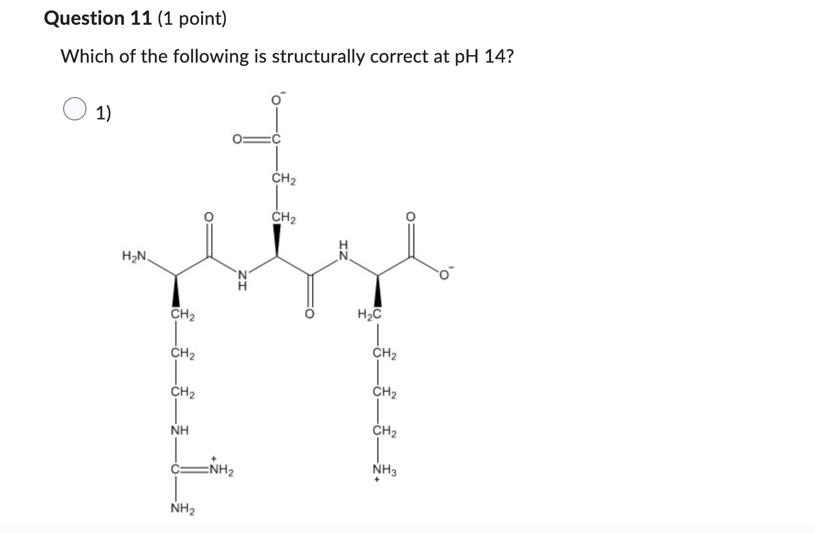Solved Which of the following is structurally correct at | Chegg.com