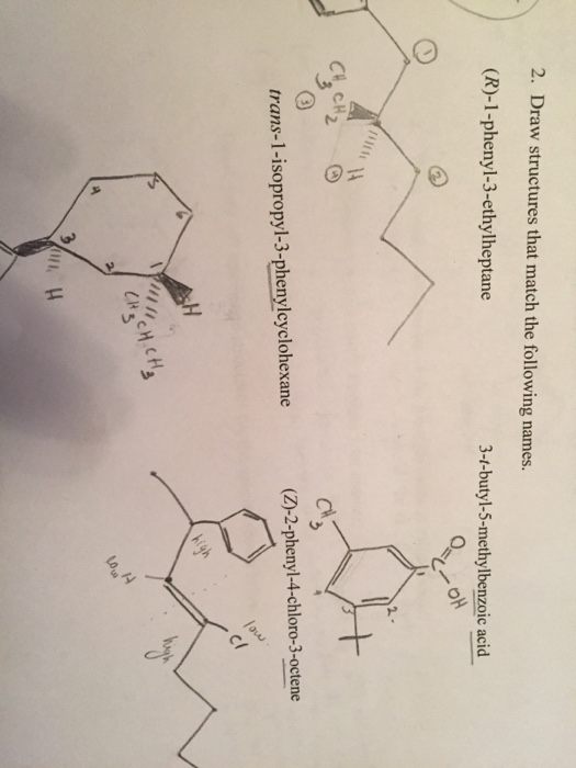 Solved 2. Draw structures that match the following names. | Chegg.com