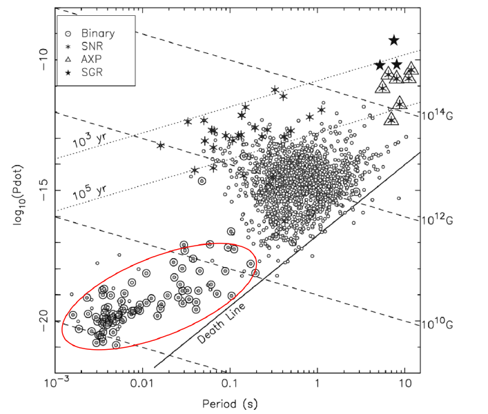 Solved Explain the P-Pdot Diagram with reference to the | Chegg.com