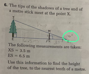 Solved 6. The tips of the shadows of a tree and of a metre | Chegg.com