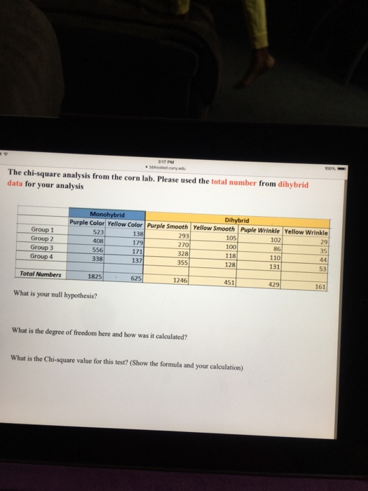 Solved The chi-square analysis from the corn lab. Please | Chegg.com