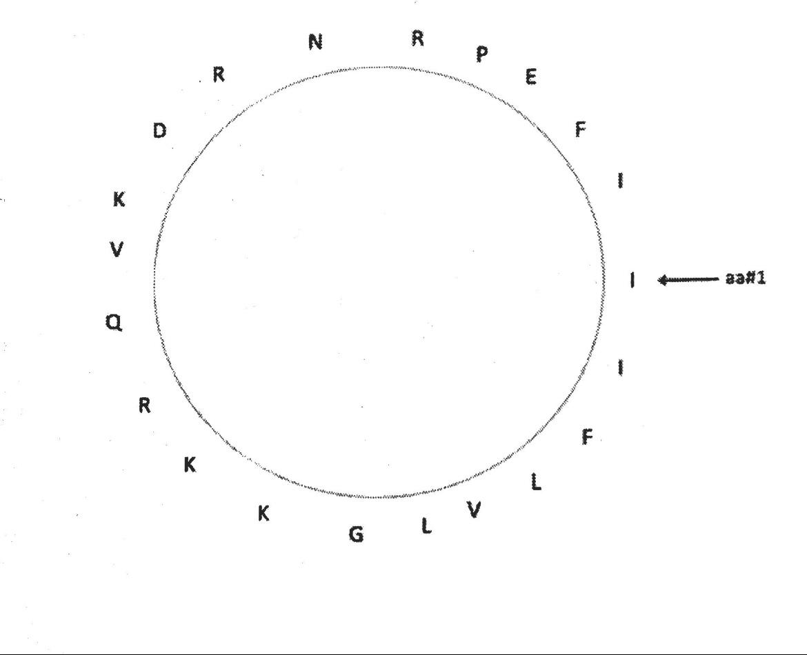 The following image is a helical wheel depiction of a | Chegg.com