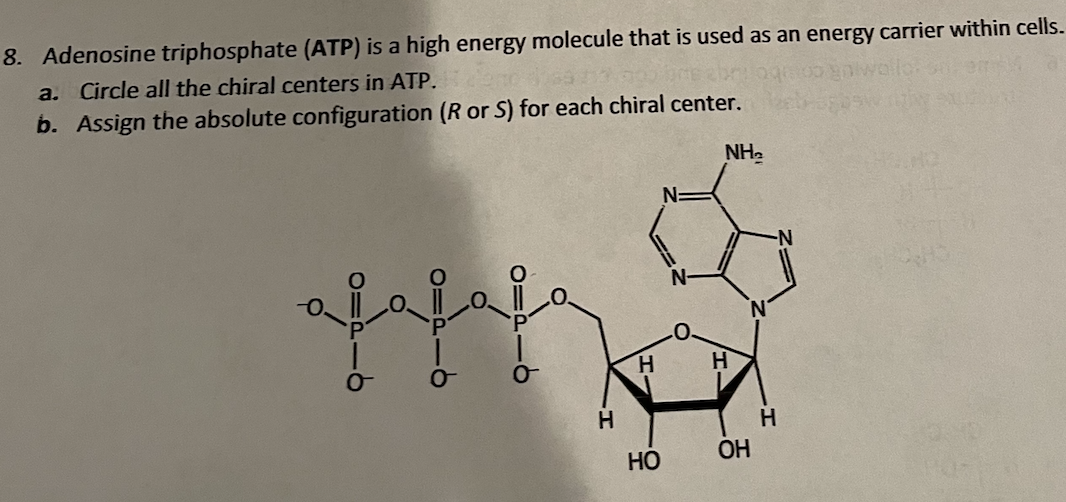 Solved 8. Adenosine triphosphate (ATP) is a high energy | Chegg.com
