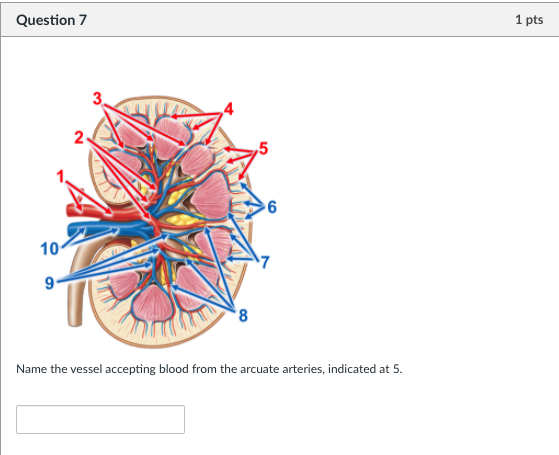 Solved Question 7 1 pts 2 6 10 9 8 Name the vessel accepting | Chegg.com