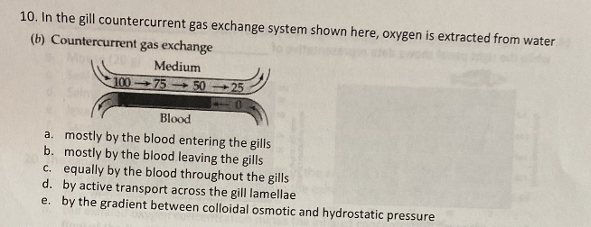 Solved 10. In the gill countercurrent gas exchange system | Chegg.com