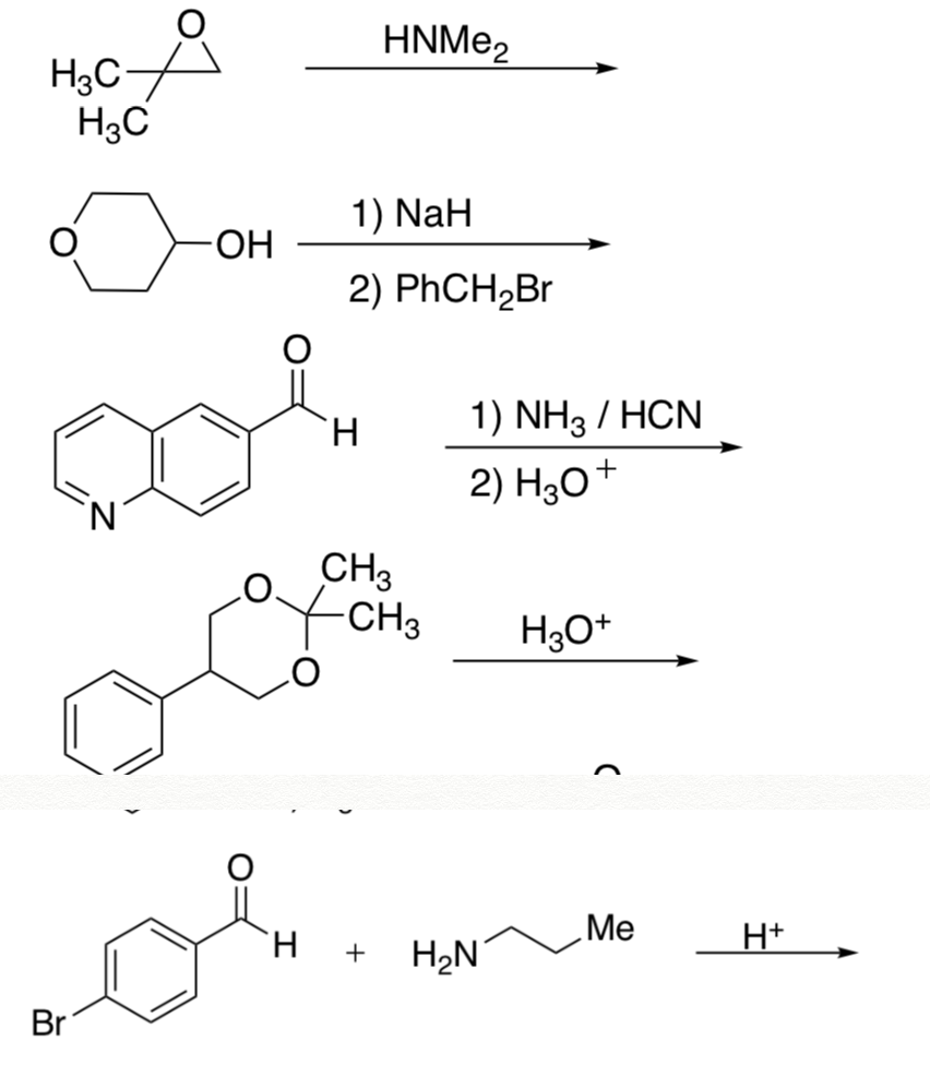 Solved HNMez 6 JOH 1) Nah 1) Nah OH 2) PhCH2Br | 1) NH3 7 | Chegg.com