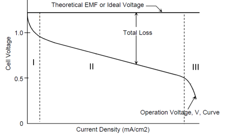 Solved Due to the kinetics, we can always observe the | Chegg.com
