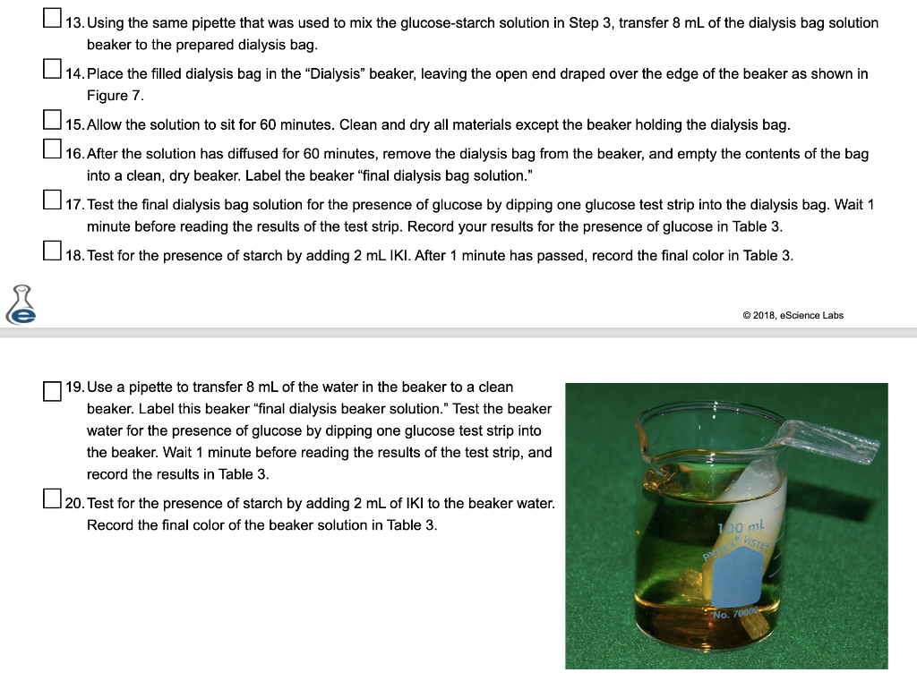 Solved EXPERIMENT 2: DIFFUSION CONCENTRATION GRADIENTS AND | Chegg.com