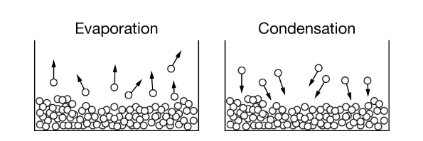 Particulate models of the evaporation of liquid water | Chegg.com