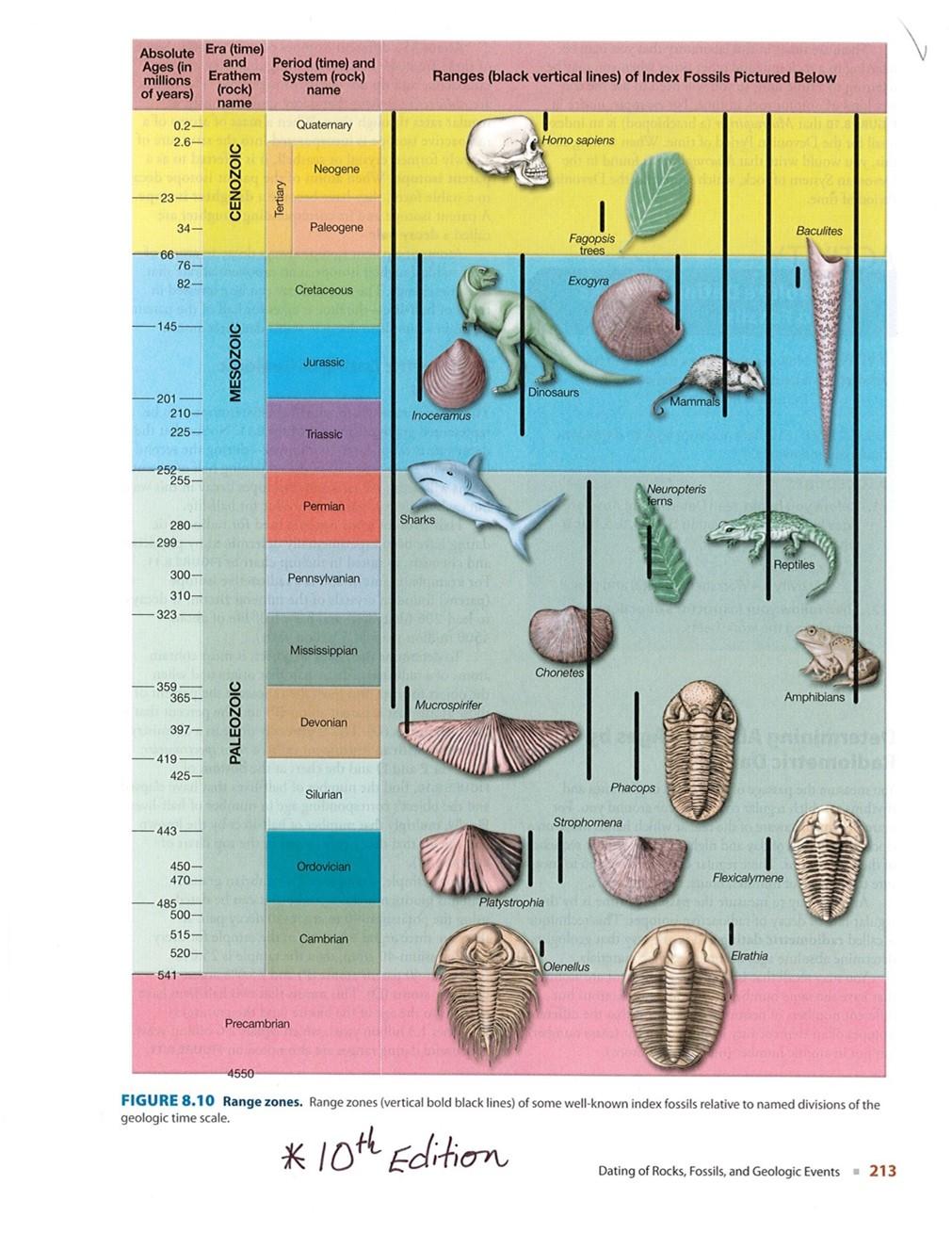 Solved I mostly need help with 3 and 4. Hiatus is the time | Chegg.com