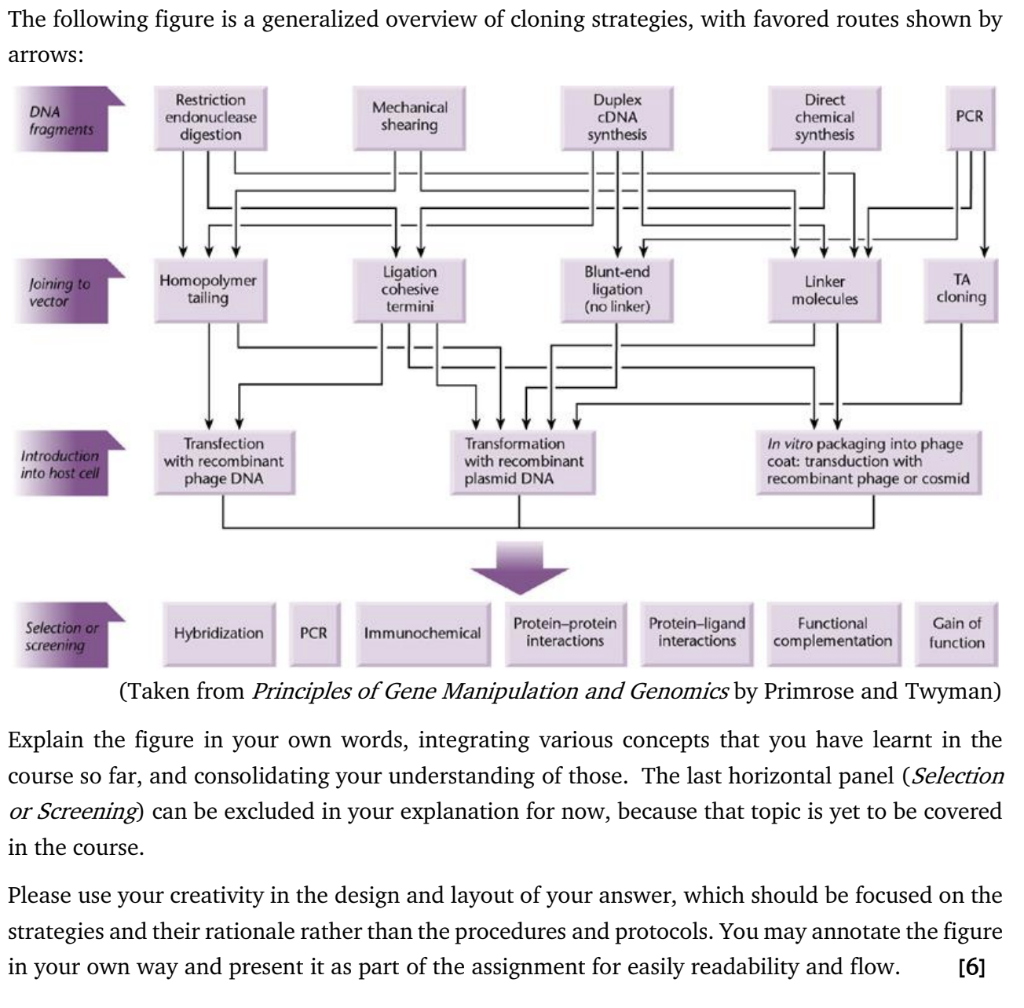 Solved The following figure is a generalized overview of | Chegg.com