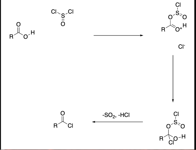Solved CI CI -SO2, -HCI CI CI Using the attached image, | Chegg.com