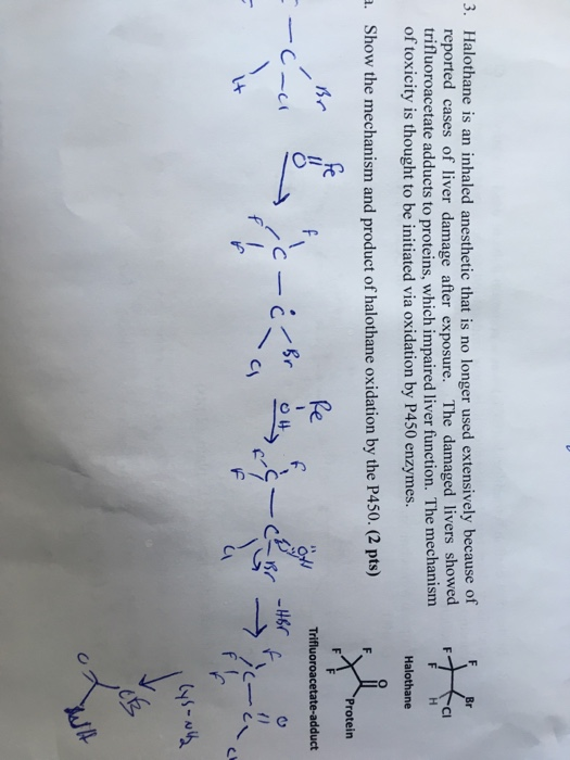 3. Halothane is an inhaled anesthetic that is no | Chegg.com