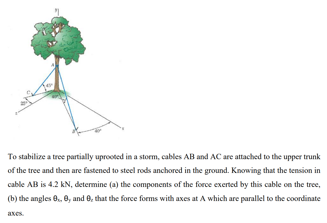 Solved To stabilize a tree partially uprooted in a storm, | Chegg.com