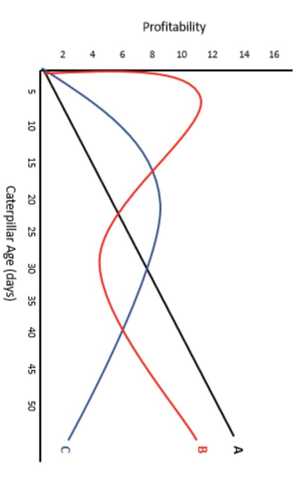 Solved The optimal foraging model for paper wasps foraging | Chegg.com