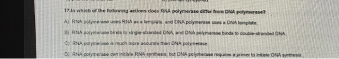 Solved 17.Jn which of the following actions does RNA | Chegg.com