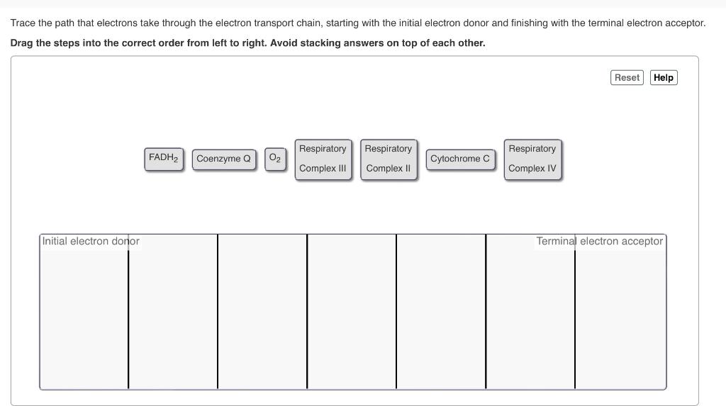 Solved Trace the path that electrons take through the | Chegg.com