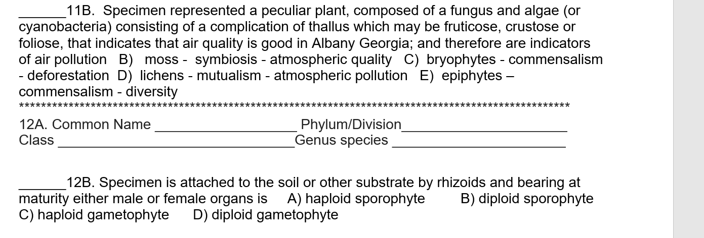 Solved Paragraph #8 #9 #10 Lays Lays POPPABLES Lays Kettle | Chegg.com