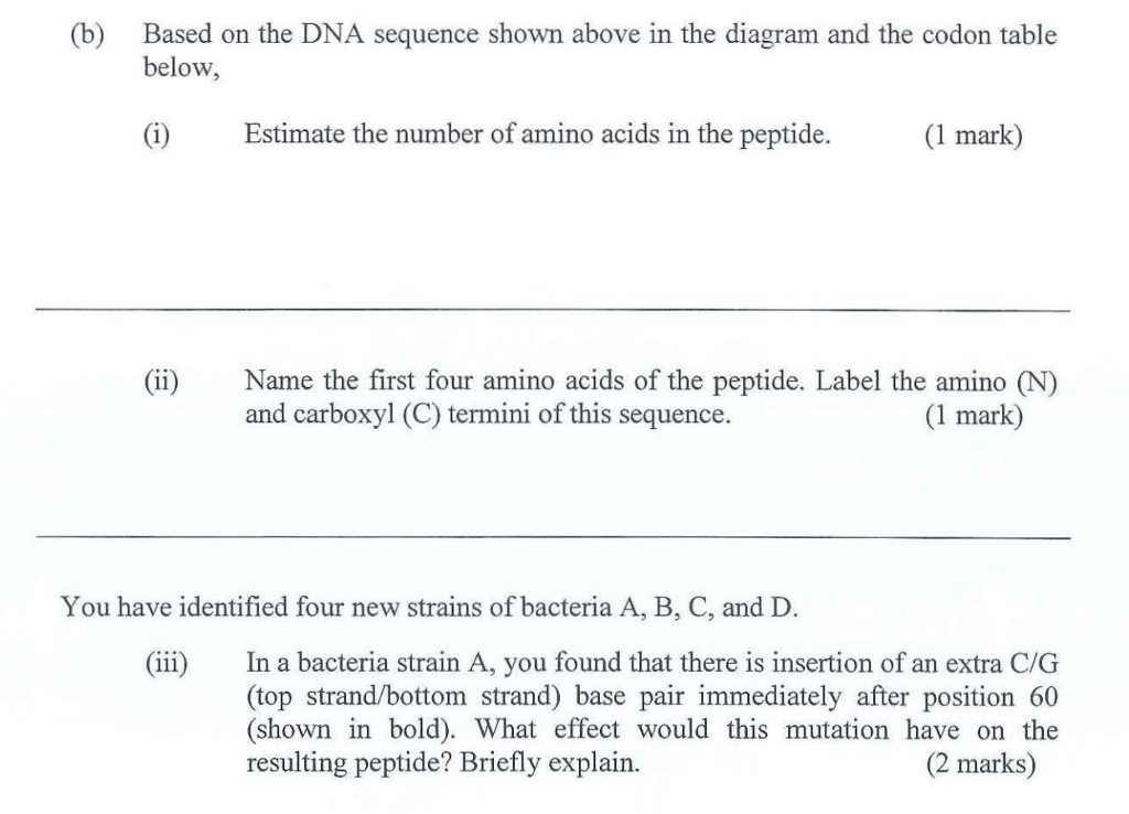 Solved Below is a DNA sequence of part of a hypothetical | Chegg.com