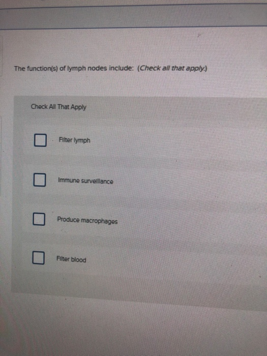Solved The function(s) of lymph nodes include: (Check all | Chegg.com