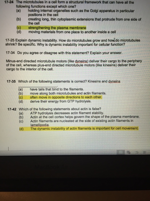 Solved 17-24 The microtubules in a cell form a structural | Chegg.com