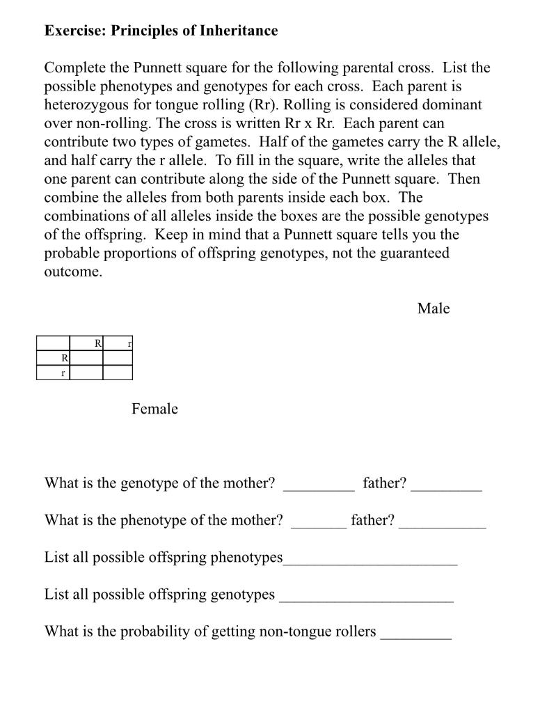 Solved Exercise: Principles of Inheritance Complete the | Chegg.com