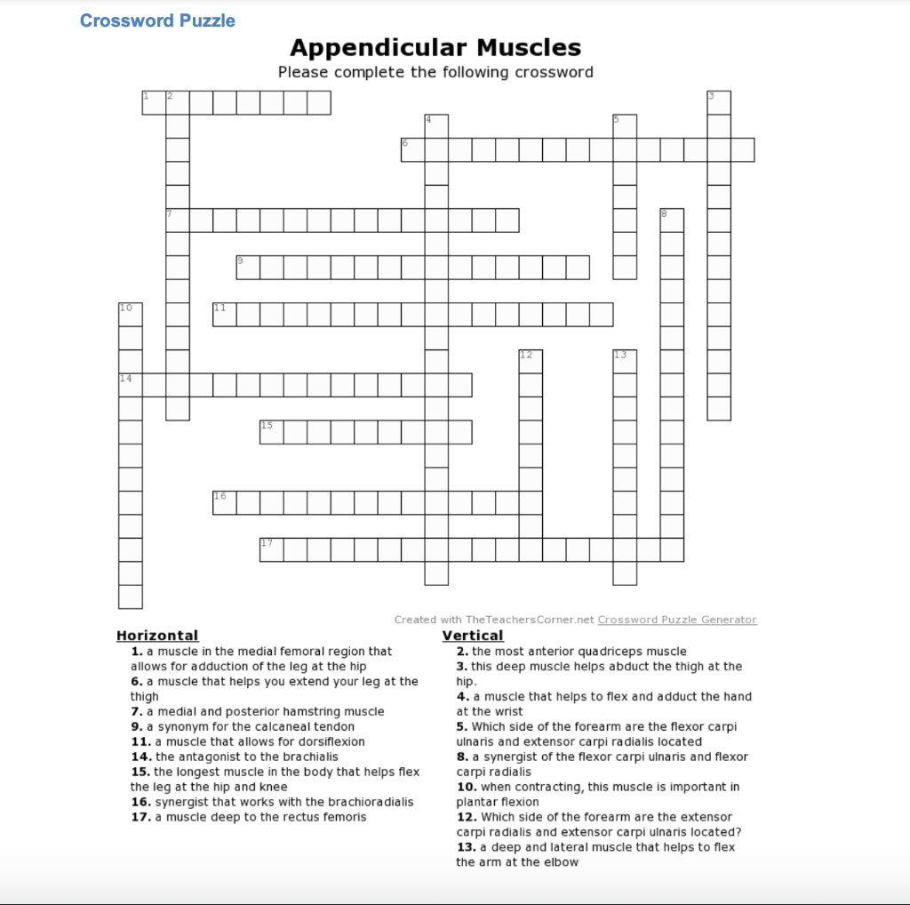 Solved Crossword Puzzle Appendicular Muscles Please complete | Chegg.com