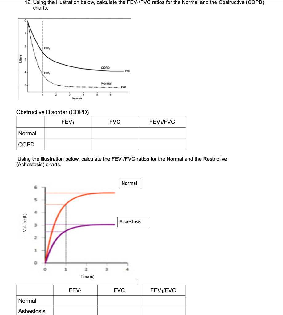 Solved 12 Using The Illustration Below Calculate The Chegg