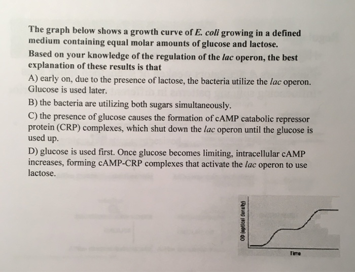 Solved The graph below shows a growth curve of E. coli | Chegg.com