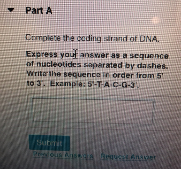 Solved 3' Template 3' mRNA codon 5' UA 3' tRNA anticodon 3' | Chegg.com