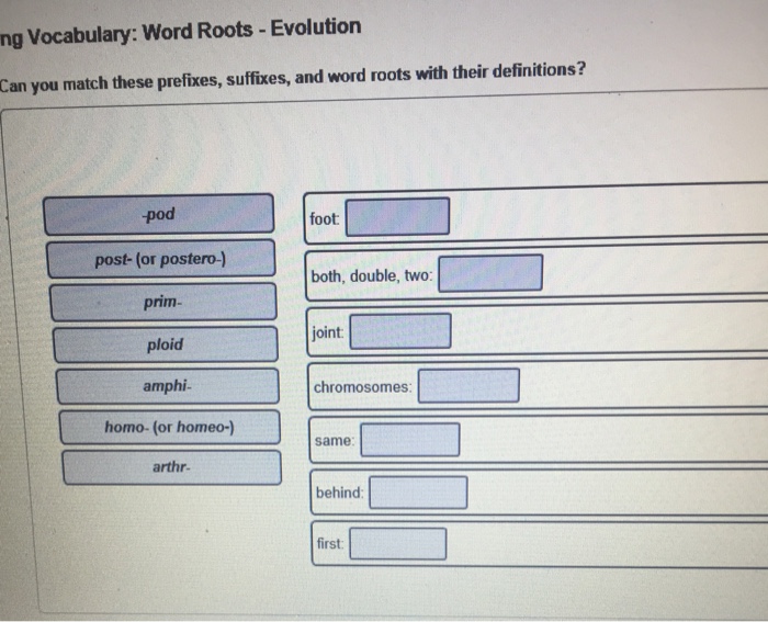 Solved ng Vocabulary: Word Roots - Evolution Can you match | Chegg.com